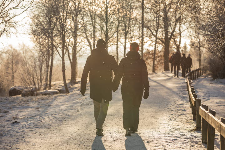 Vinterspåret på Mösseberg - för gångare