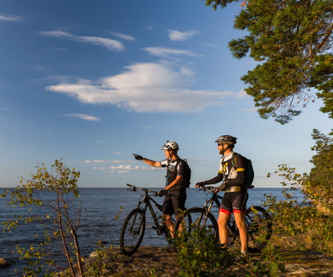 Kinnekulle - det blommande berget