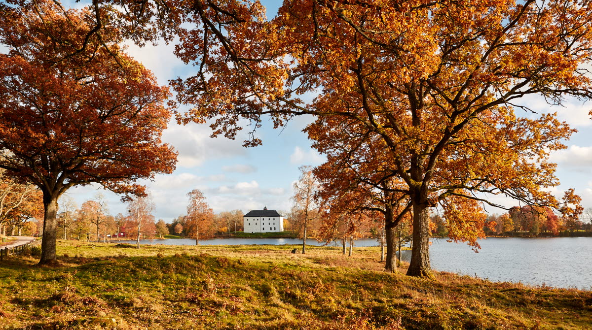 Svenljunga & Tranemo is a part of West Sweden