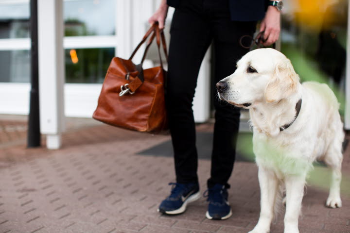 Bo med hund vid Hornborgasjön