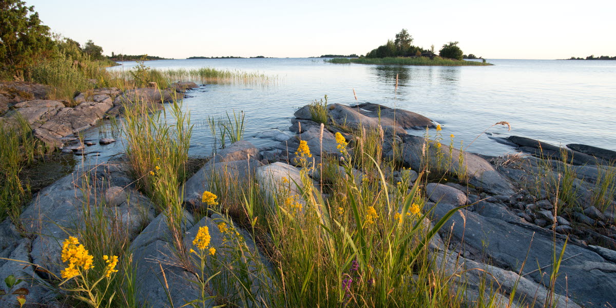 Lake Vänern
