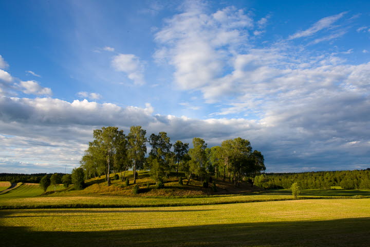 Knätte kullar naturreservat i Ulricehamn