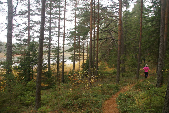 Vandra & spring på Halleberg & Hunneberg