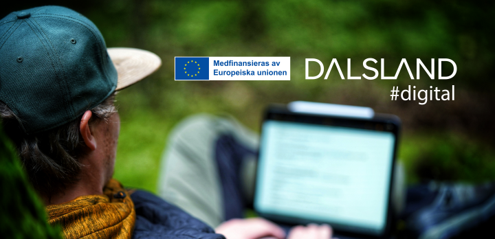 Dalsland_digital_2025_2.png