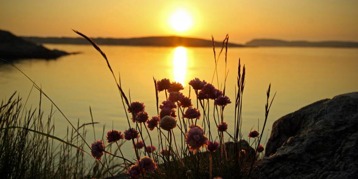 Summering av sommaren på Skaftö 2017
