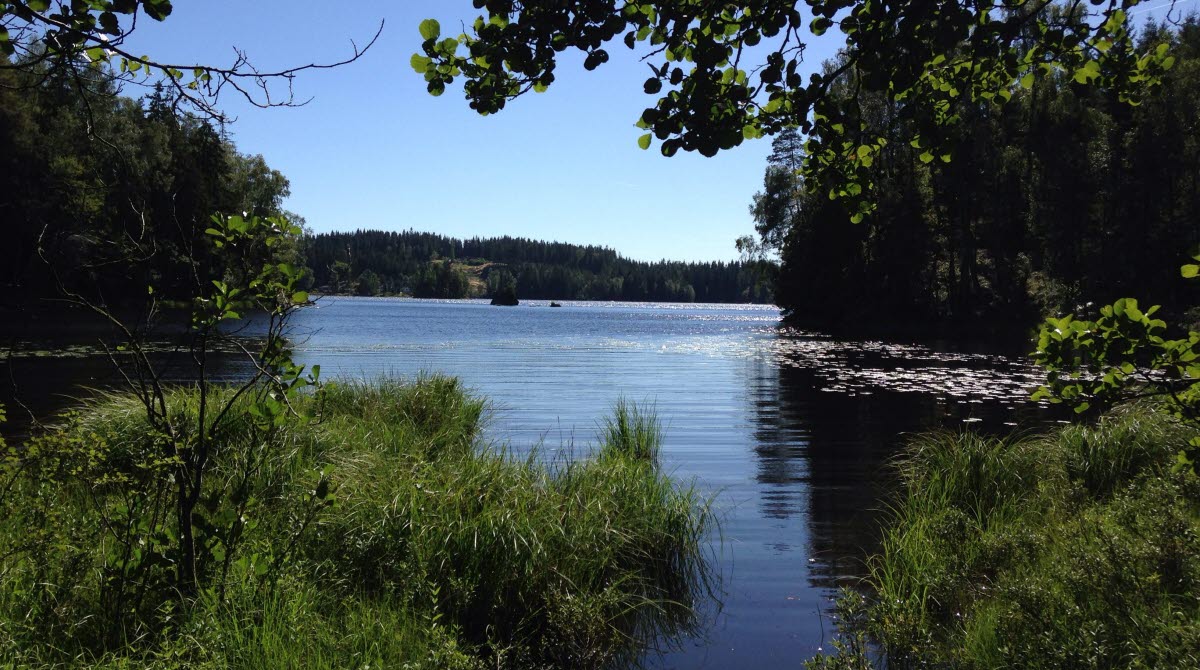 Visit Svenljunga, Tranemo