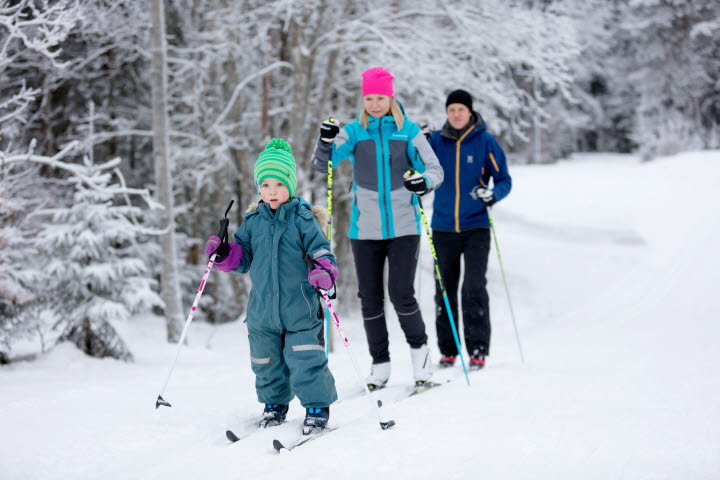 Vinter på Billingen