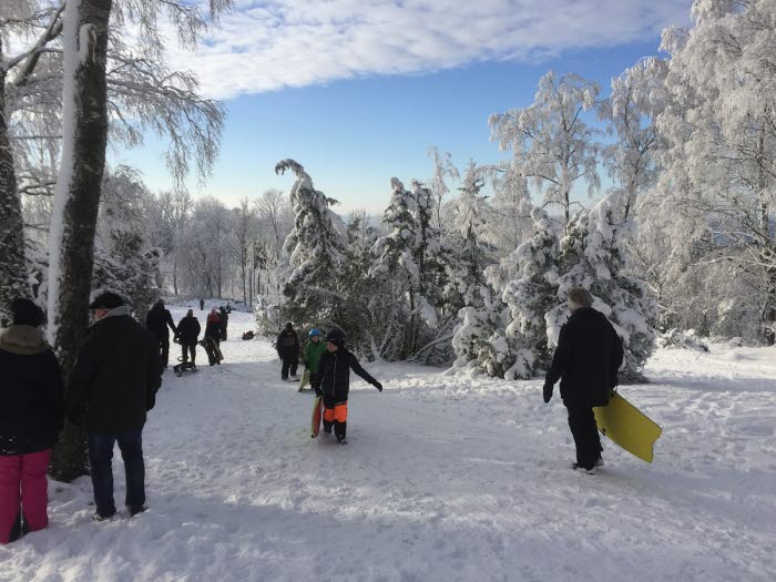 Things to see & do on Kinnekulle