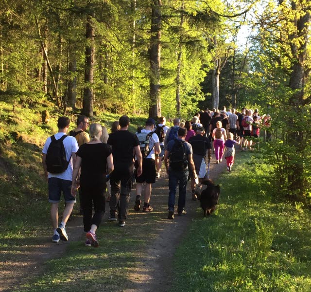 Kinnekulle - det blommande berget