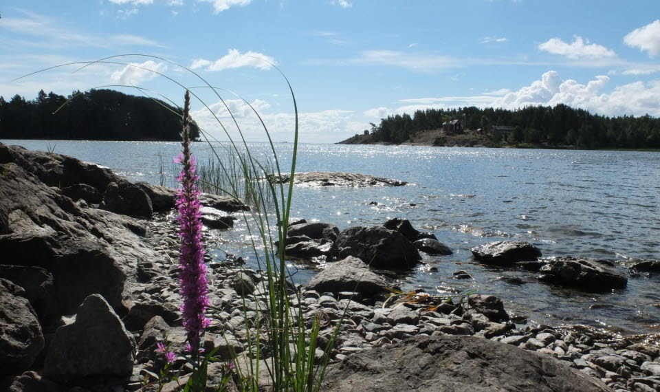 Dalsland - en del av Västsverige