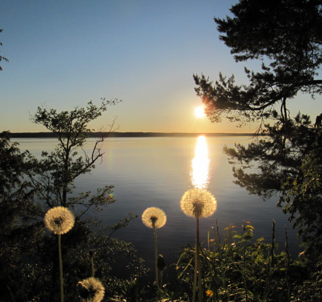 Välkommen till Gullspång!