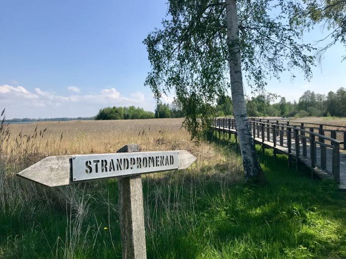 Strandnära promenadutflykt
