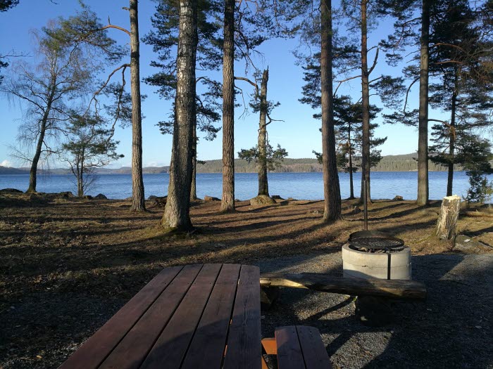 Inre cirkeln