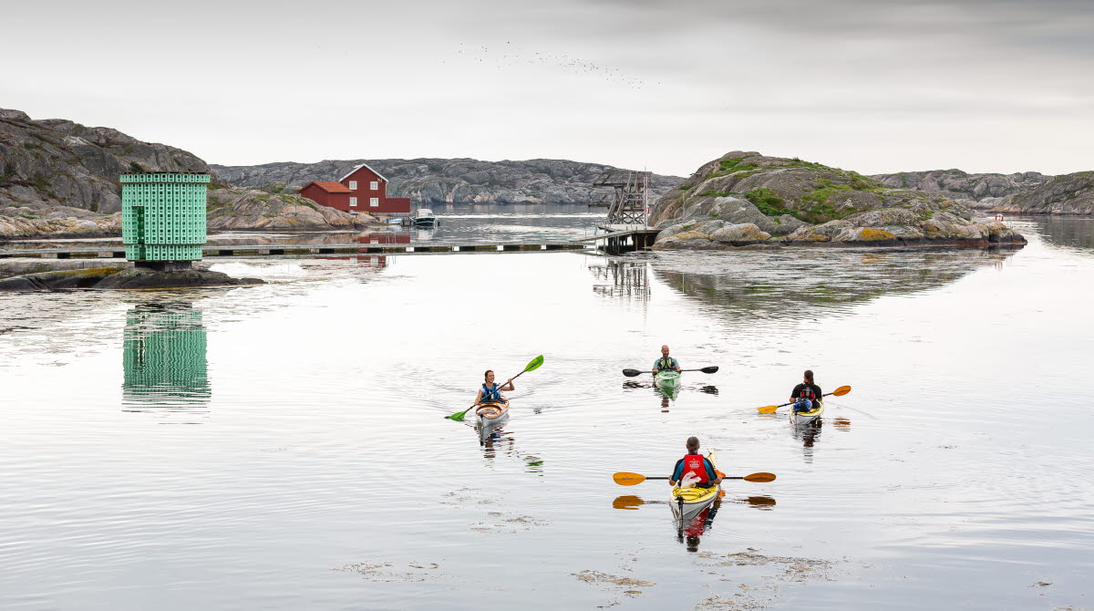 Paddla - Paddling i Västsverige