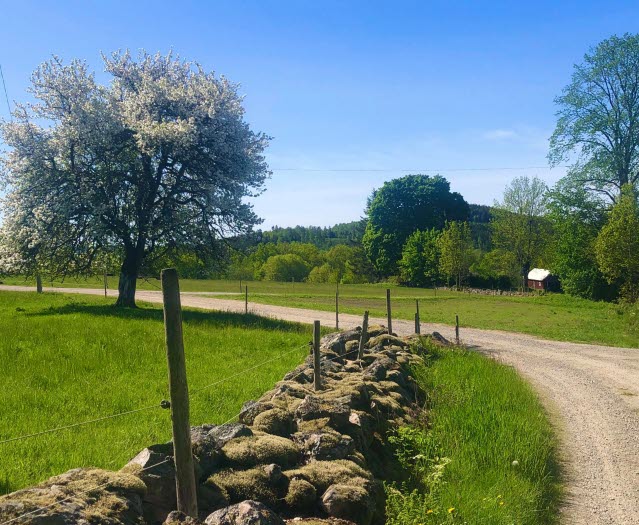 Tvärred Runt på mtb