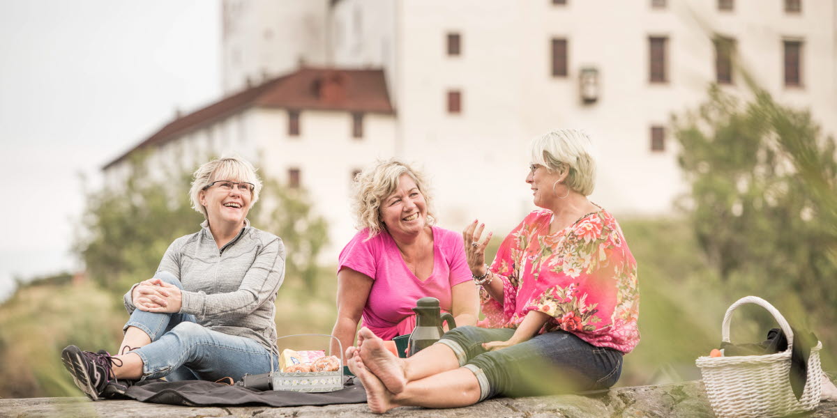 Kyrkor och slott i Skaraborg