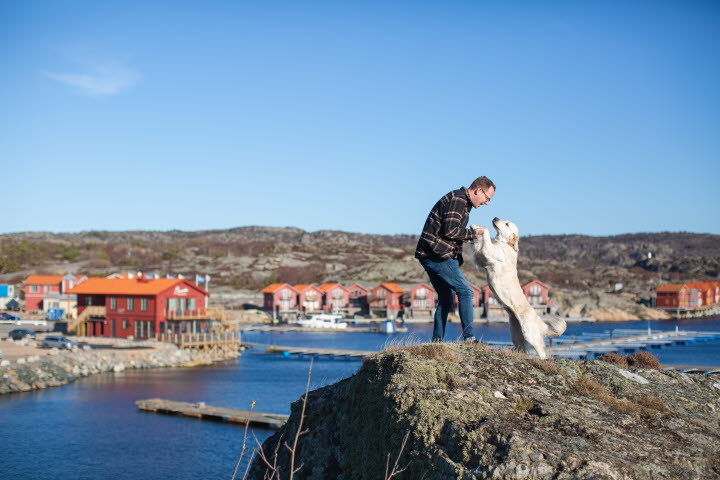 Vacation with a dog in southern Bohuslän