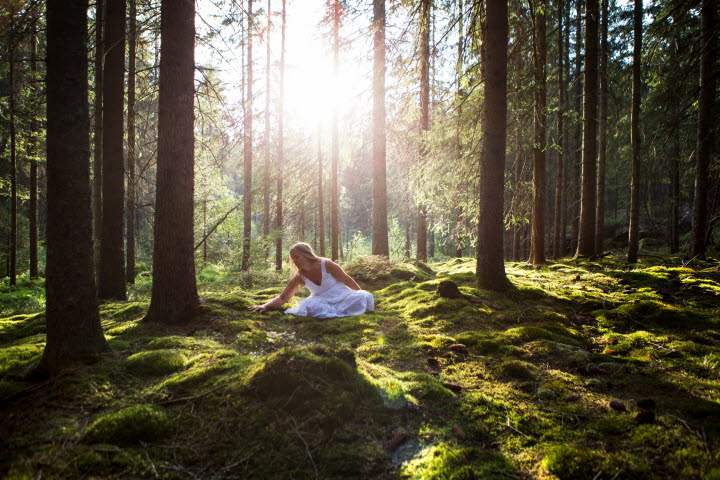 Sense in Nature, Gothenburg