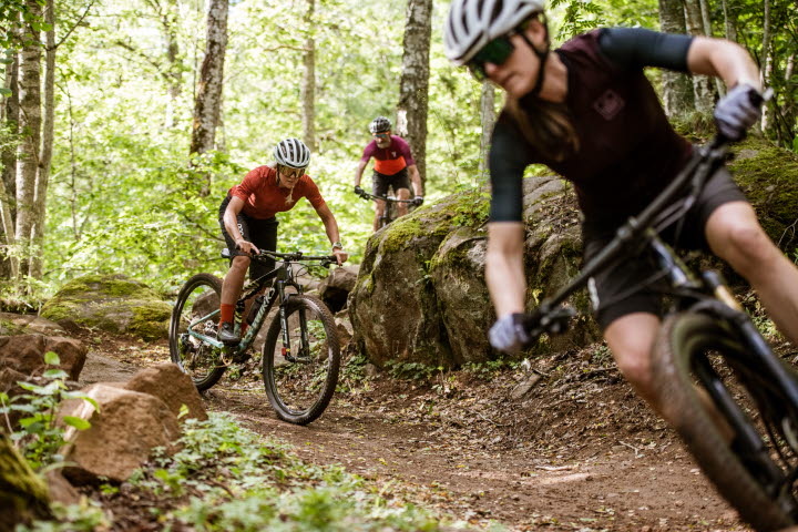 MTB-arena på Billingen