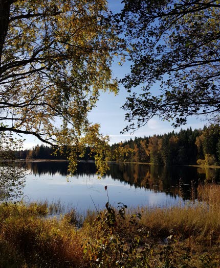 Ekopark Halleberg och Hunneberg