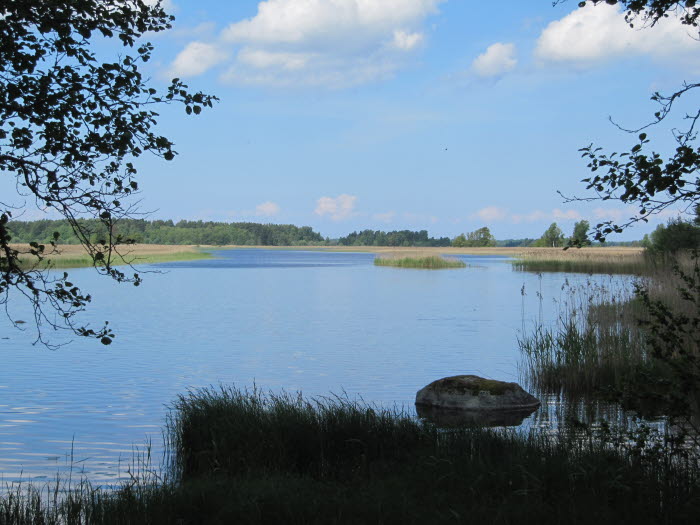 Naturreservat i Gullspångs kommun